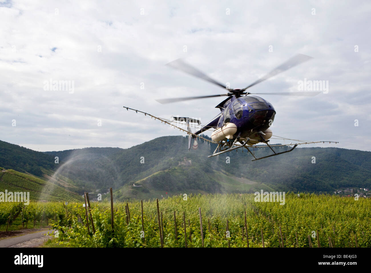 A helicopter spraying wine along the Moselle River with an agent ...