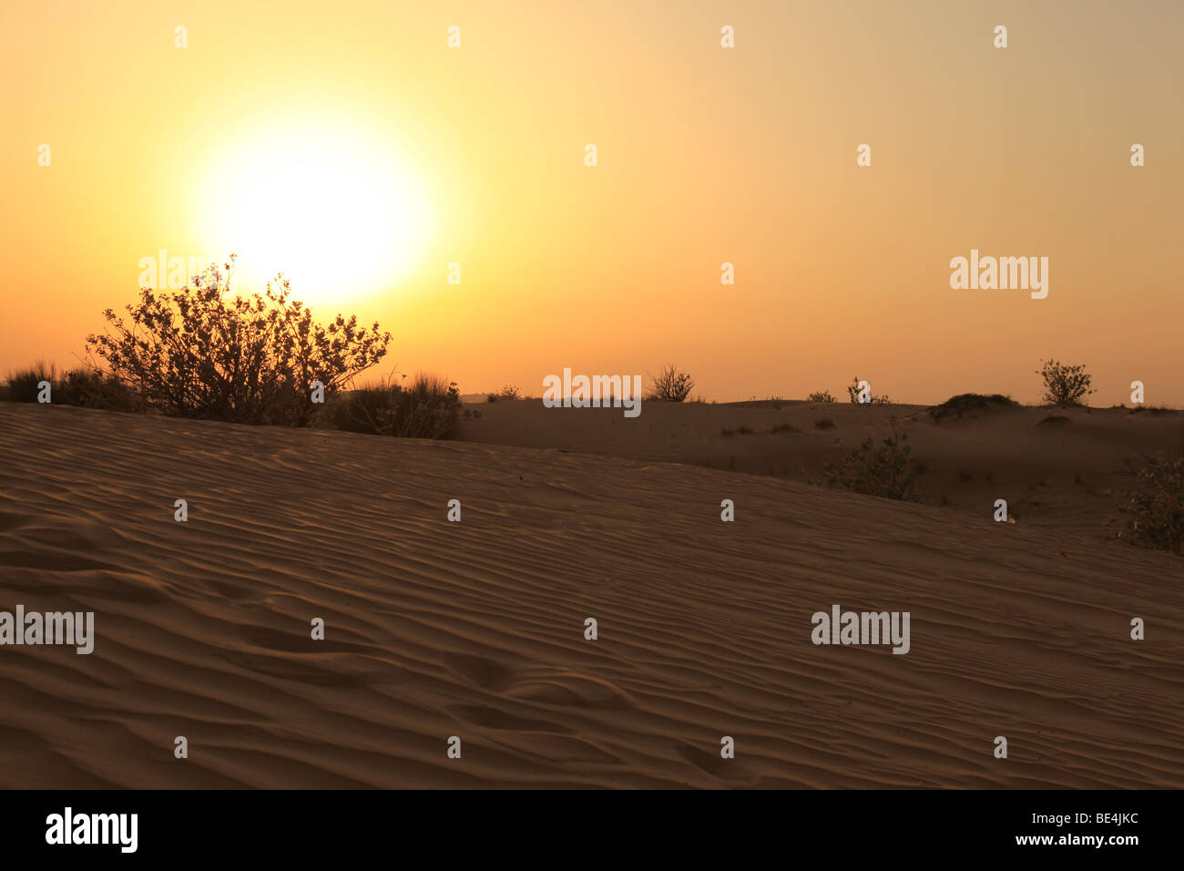 Desert at sunset Stock Photo - Alamy