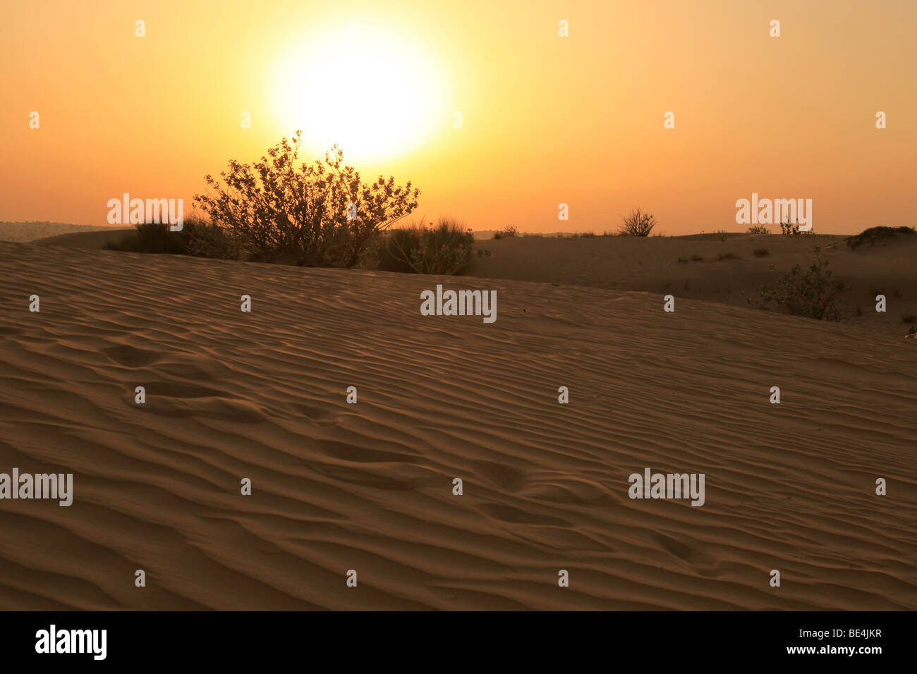 Desert at sunset Stock Photo - Alamy