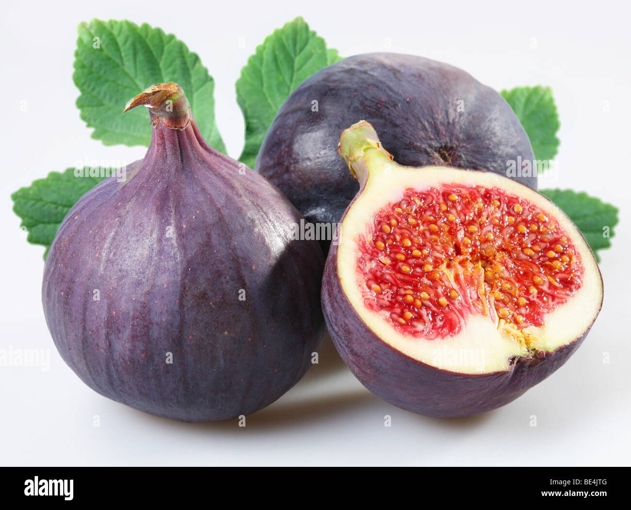 Fig hi-res stock photography and images - Alamy