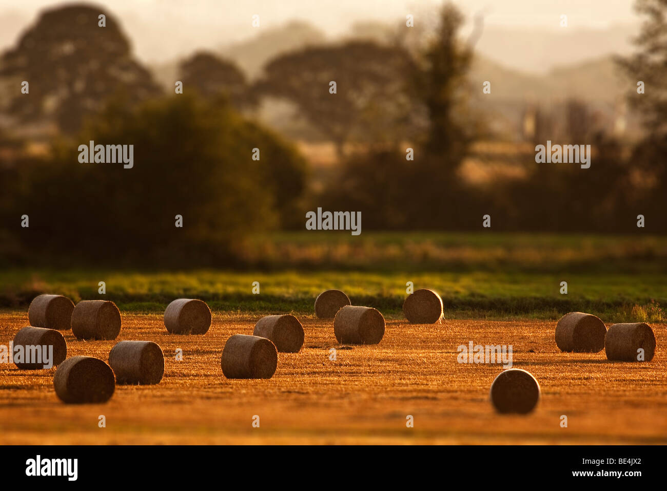 Bails hi-res stock photography and images - Alamy