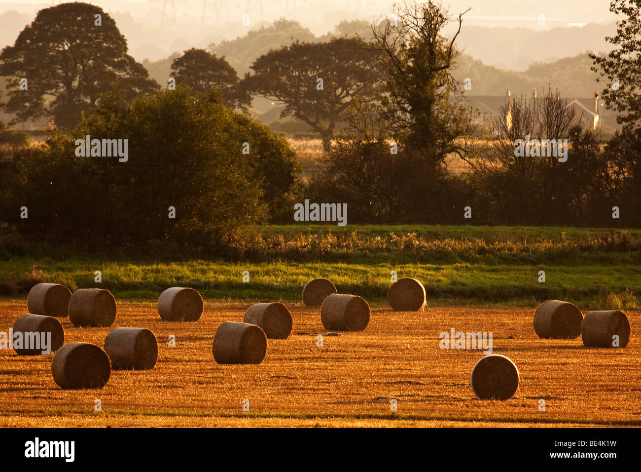 Round bails hi-res stock photography and images - Alamy