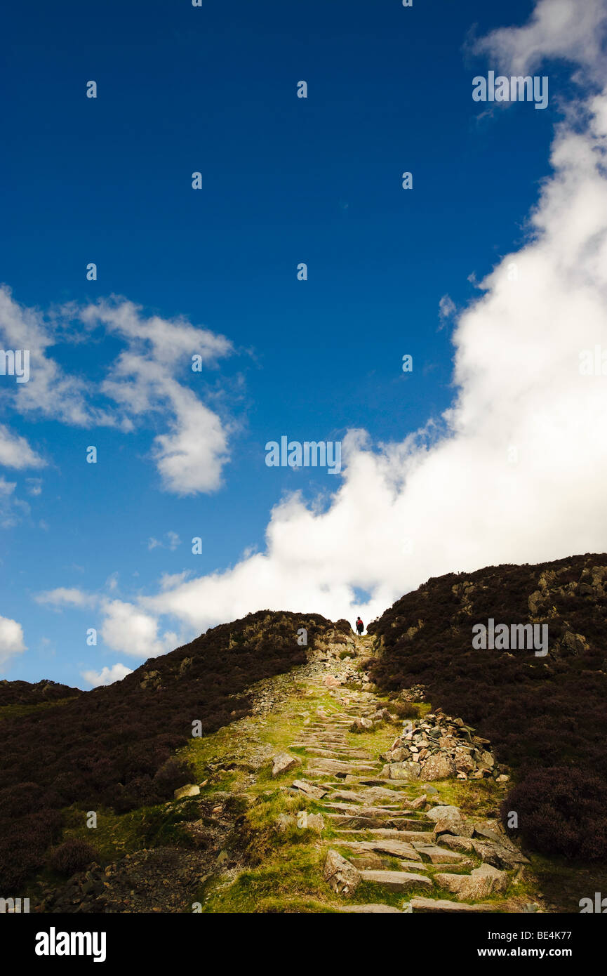 Trekker at summit of path between Hay Stacks and Fleetwith Pike, near ...