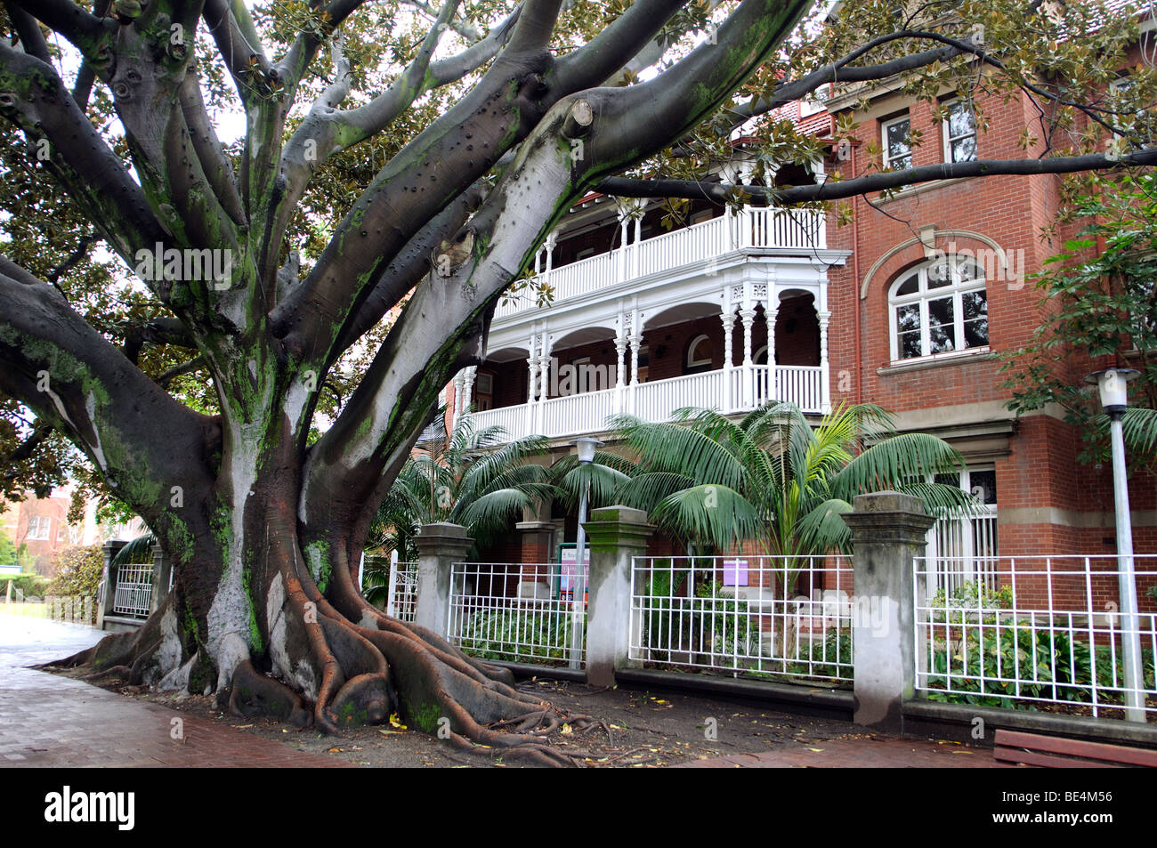 historic building murray street perth western australia Stock Photo - Alamy