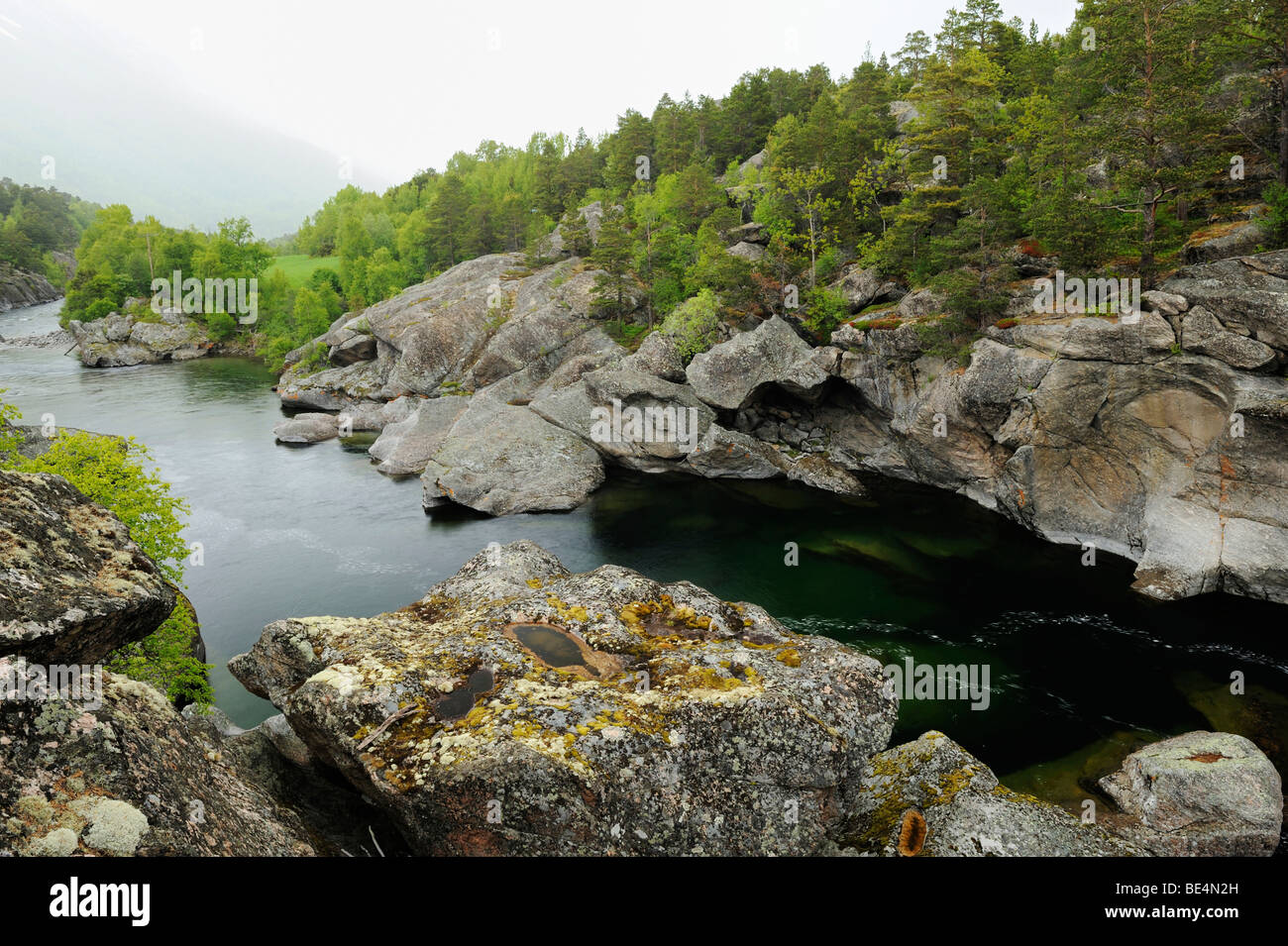 Dovrefjell National Park Stock Photos & Dovrefjell National Park Stock ...