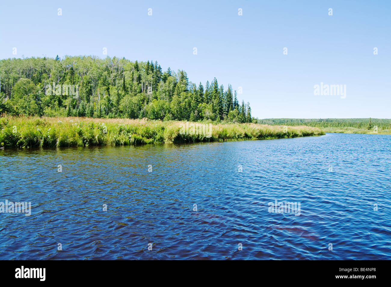 Poplar river hi-res stock photography and images - Alamy