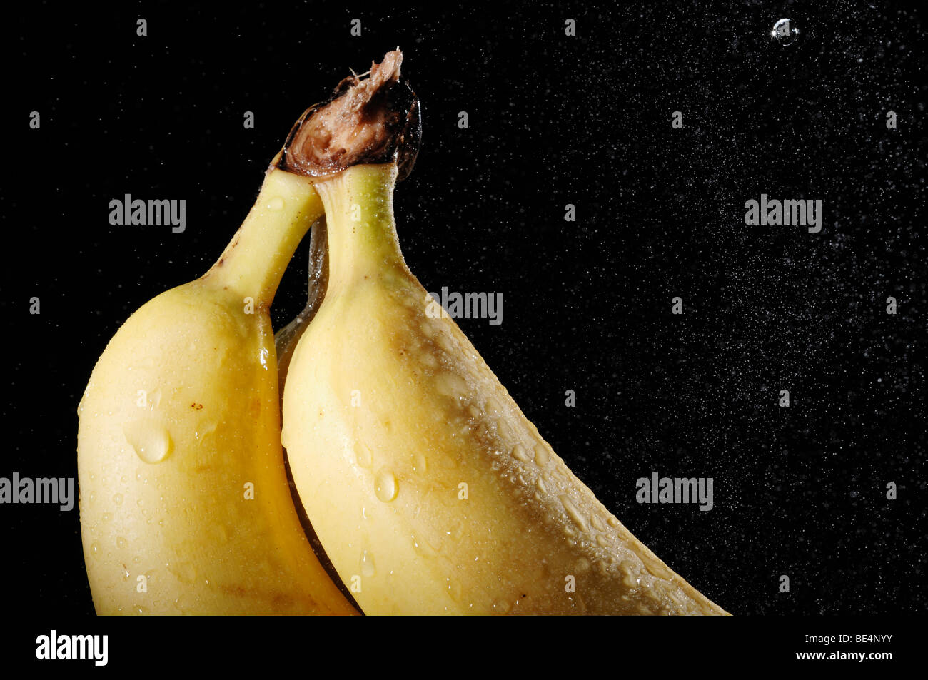 Rain over bananas. Black background Stock Photo - Alamy