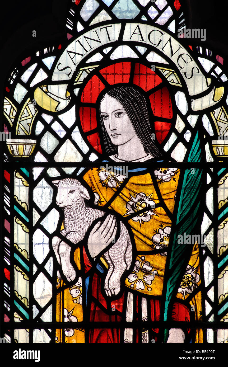 St. Agnes stained glass, St. Mary`s Church, Willoughby Waterleys ...