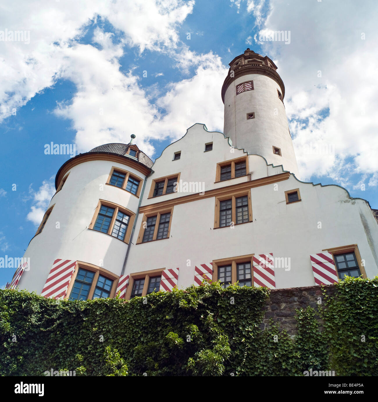 Hoechster Schloss castle, former seat of the Archbishopric of Mainz ...