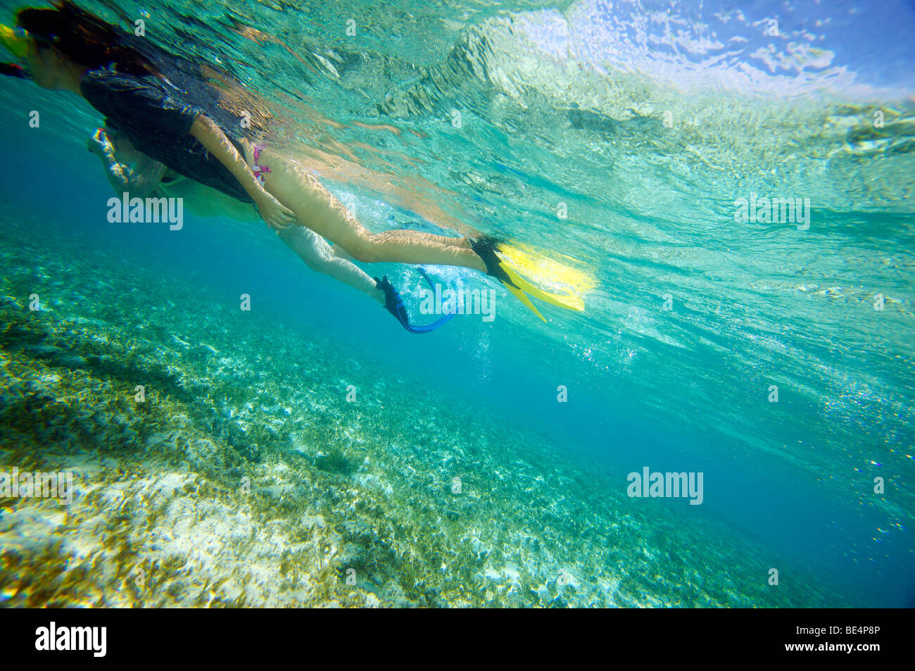 Fiji Snorkeling Wallpaper