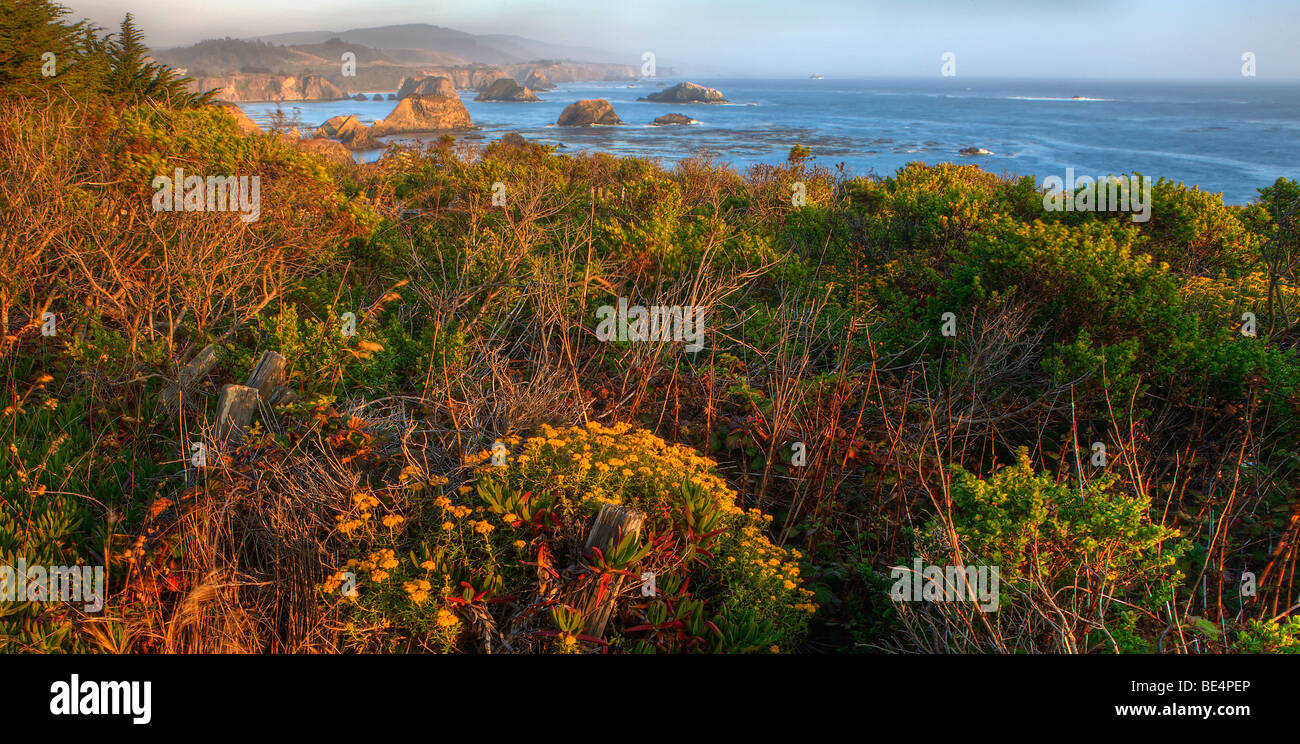 Mendocino Coast, California, USA Stock Photo - Alamy