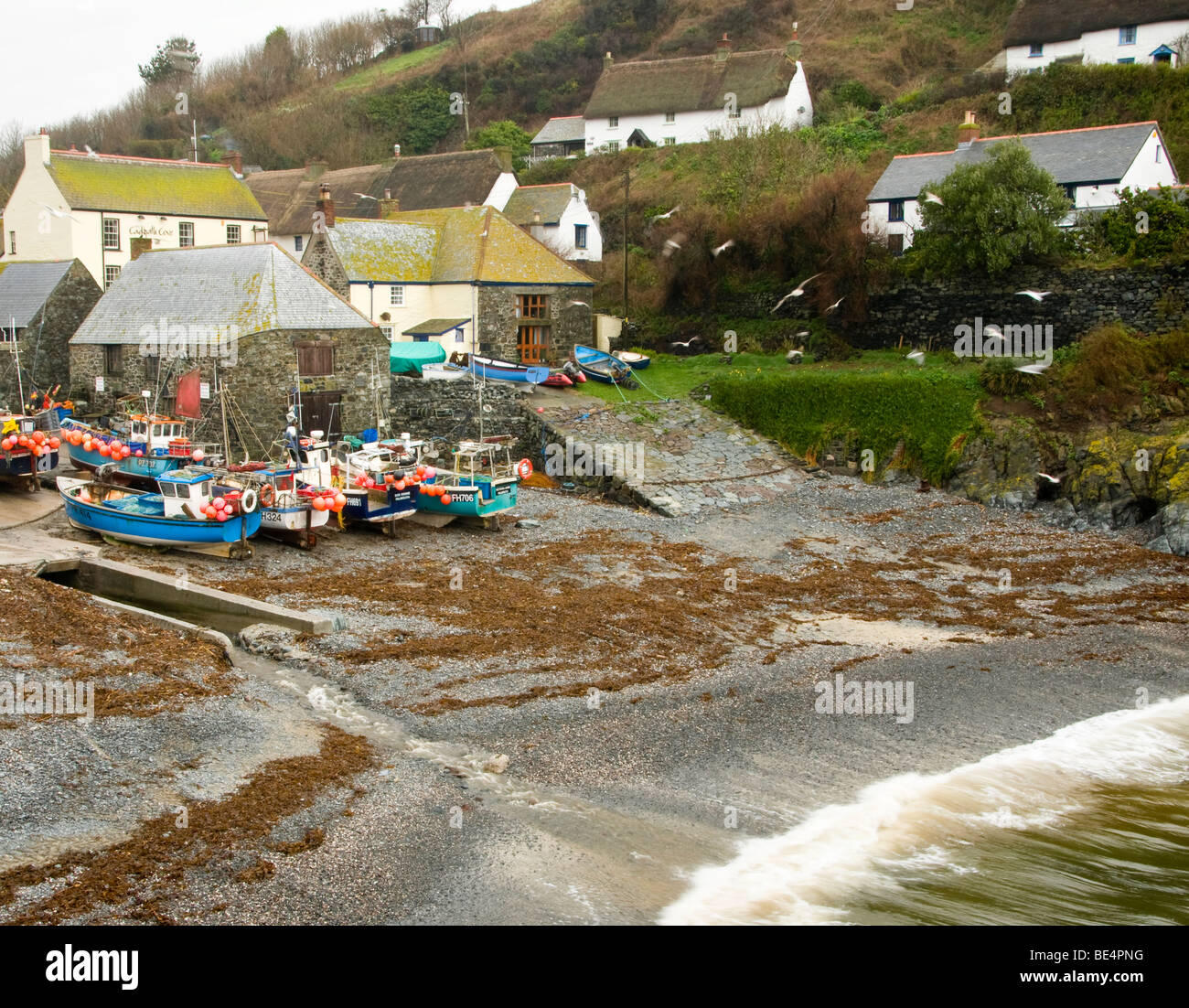 Cadgwith cove village hi-res stock photography and images - Alamy