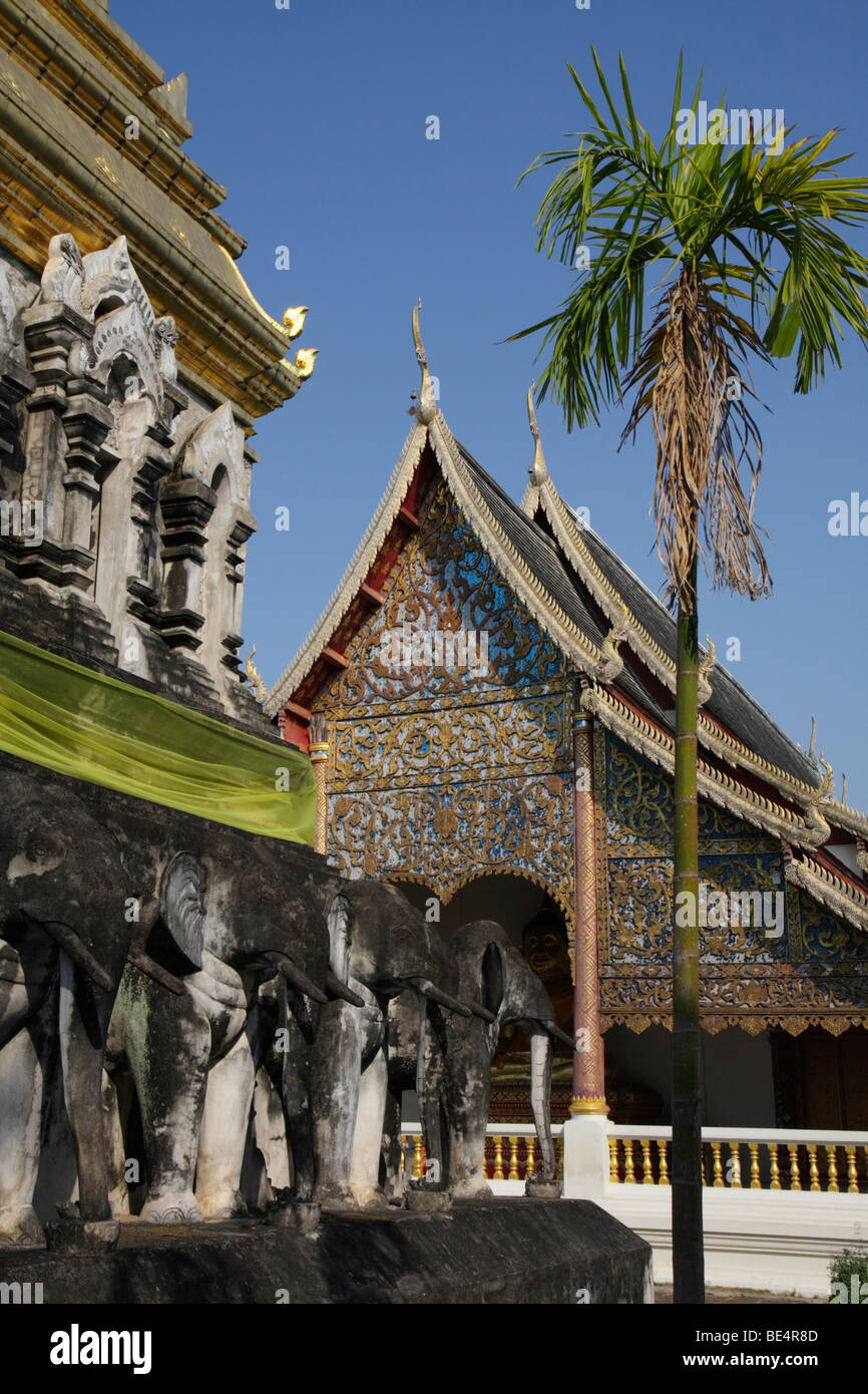Elephant statues and palm tree in front of the temple Wat Chiang Man ...
