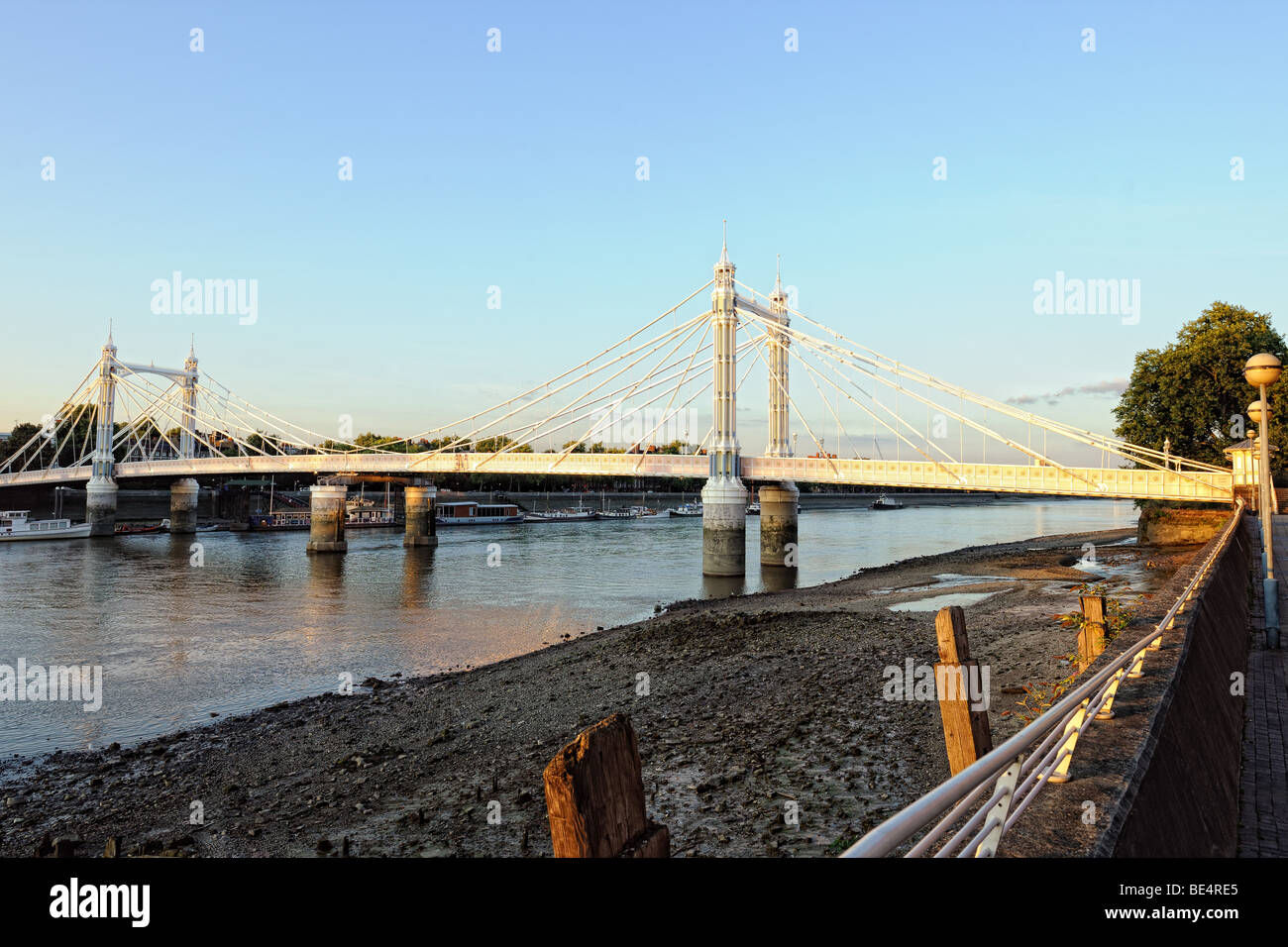Albert bridge london hi-res stock photography and images - Alamy