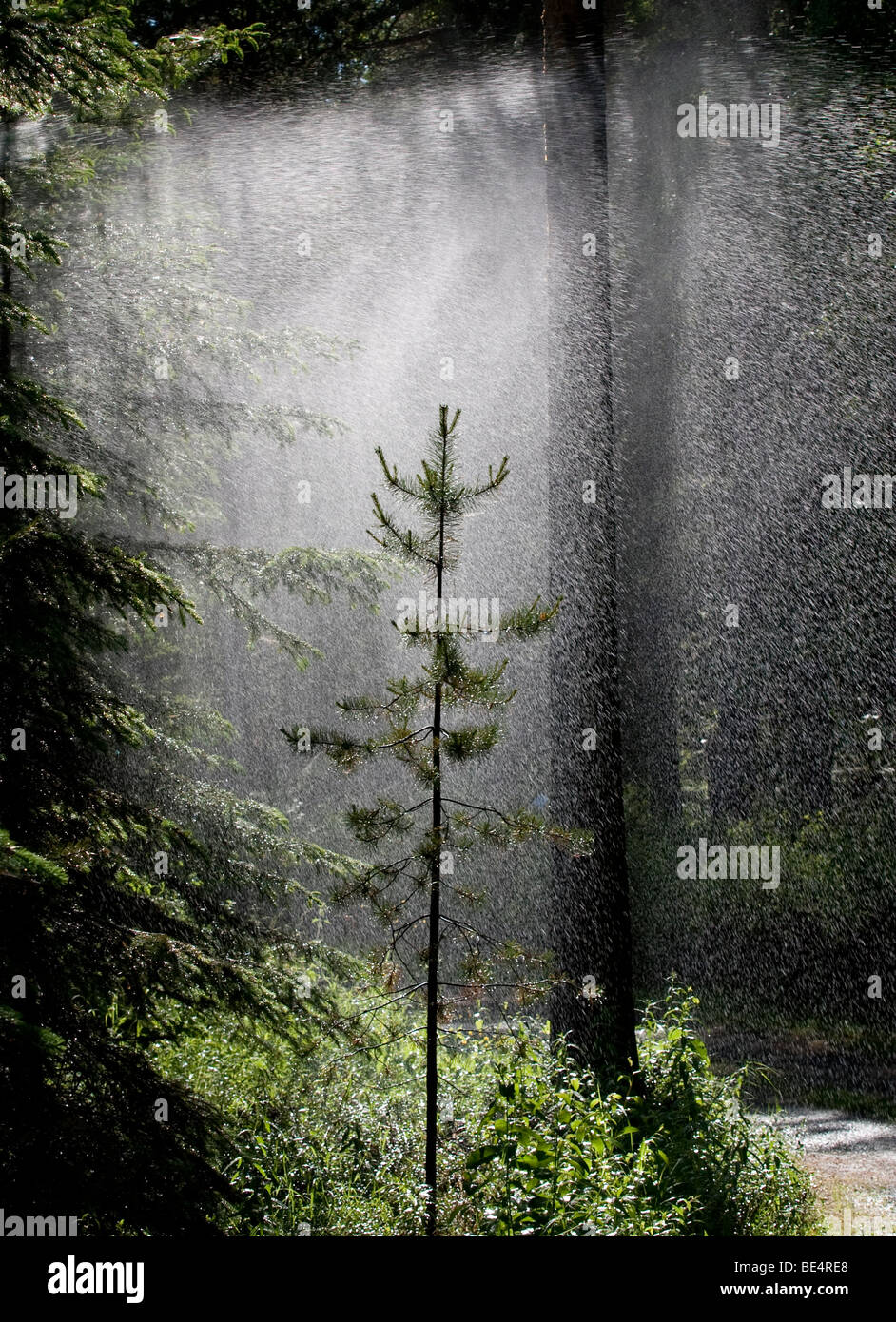 Showering In The Rain High Resolution Stock Photography and Images - Alamy