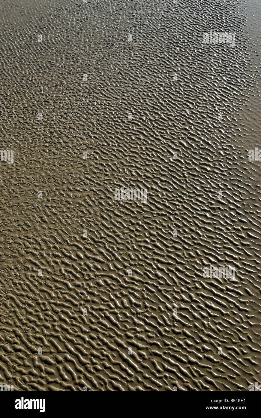 Backdrop bottom hi-res stock photography and images - Alamy