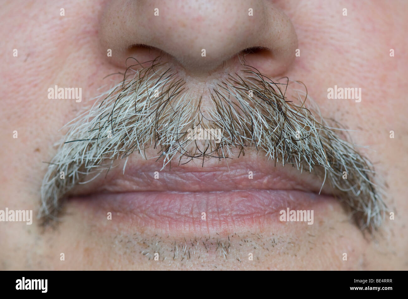 Close up of a grey moustache Stock Photo - Alamy
