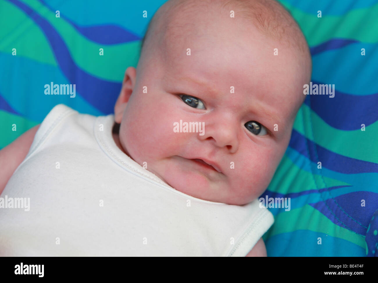 8 week old baby boy Stock Photo - Alamy