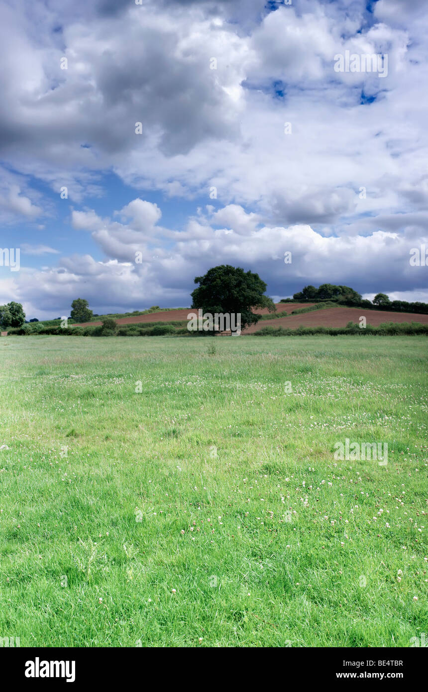 field grass farmland country rural nature background space sky cloud ...