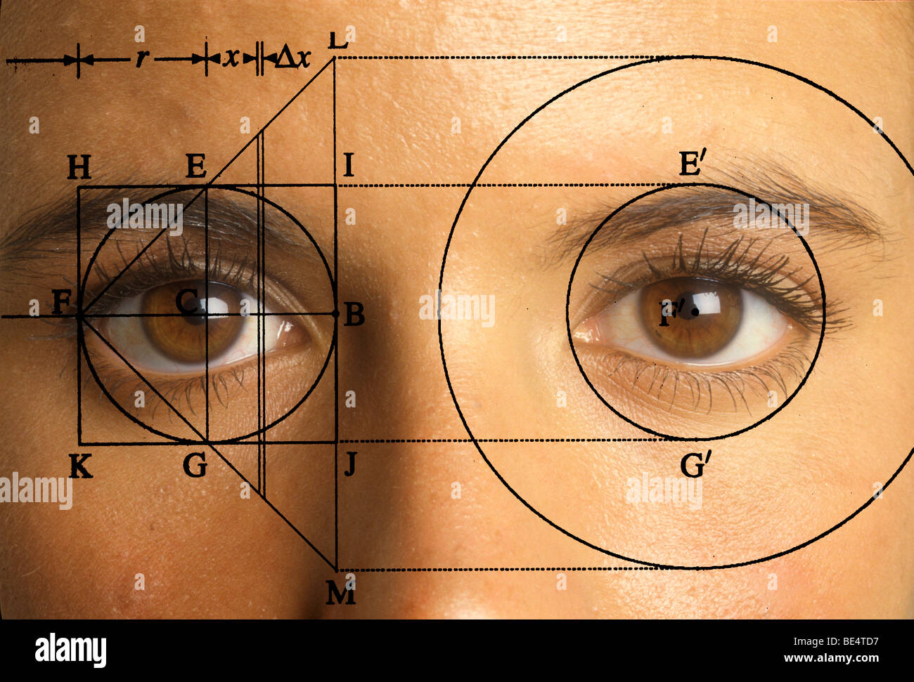 eyes with visual measurement graph composited Stock Photo - Alamy
