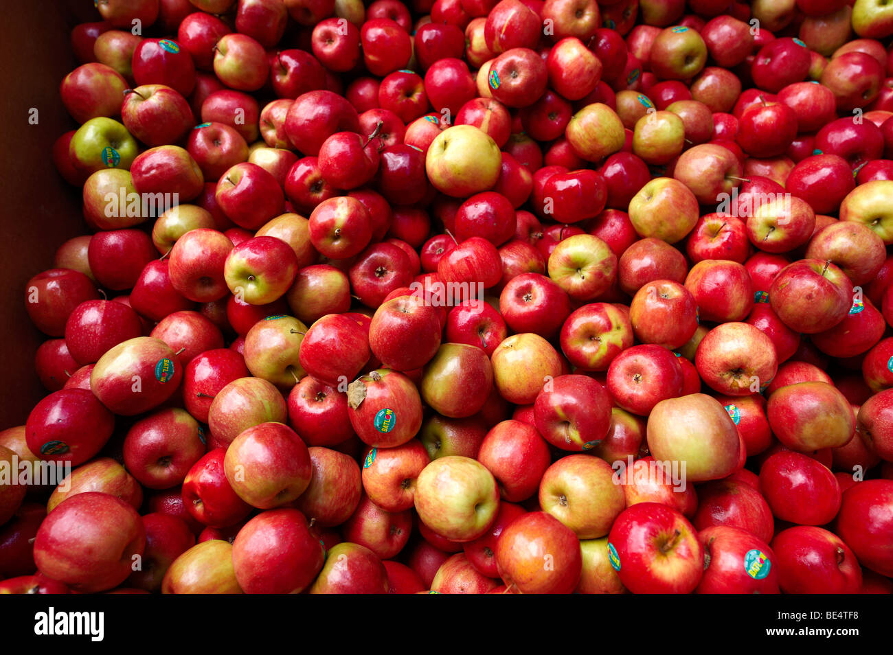 A Lot Of Apples High Resolution Stock Photography and Images - Alamy