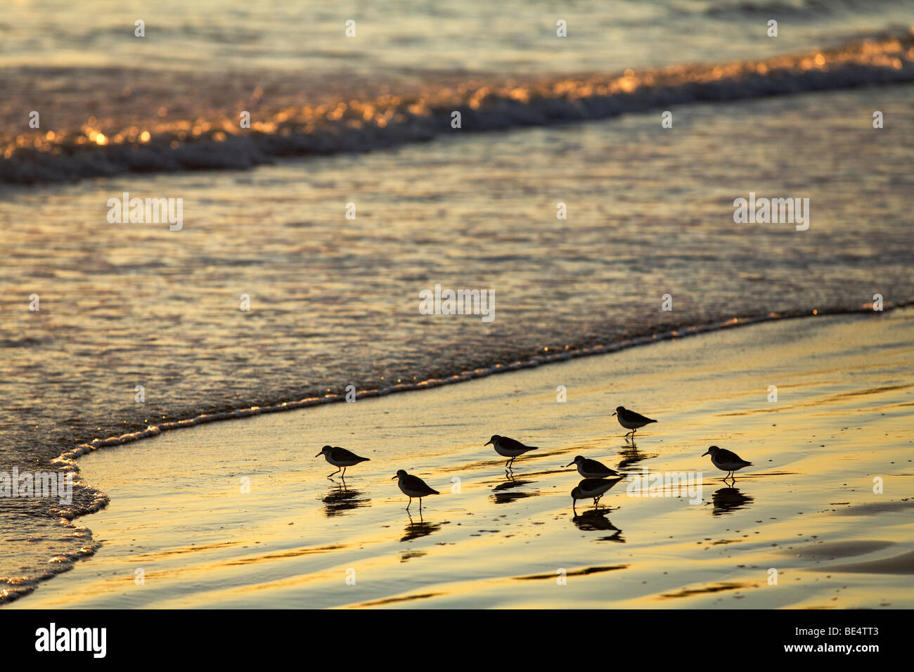 Sachuest rhode hi-res stock photography and images - Alamy