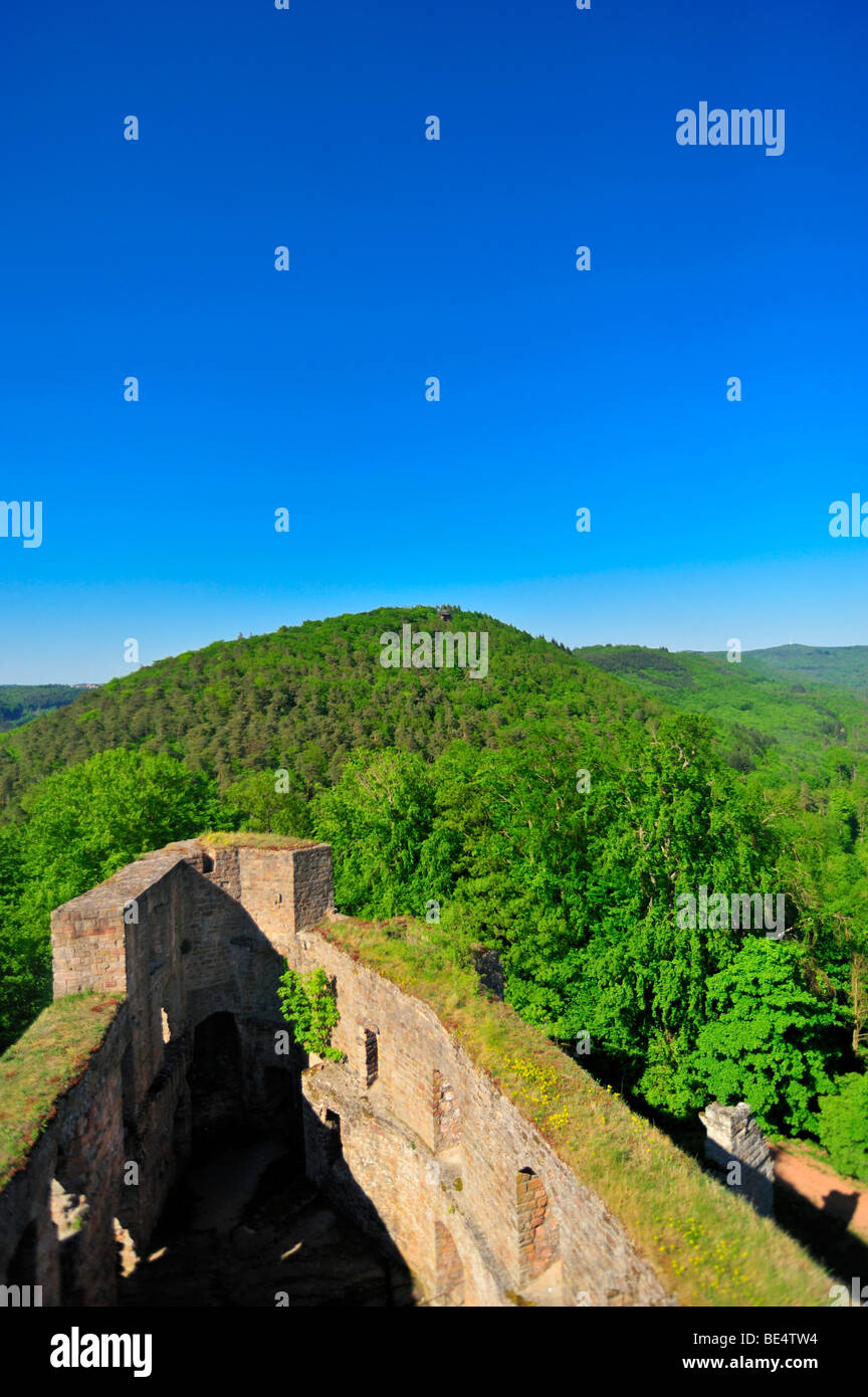 Graefenstein castle ruins, Merzalben, Naturpark Pfaelzerwald nature ...