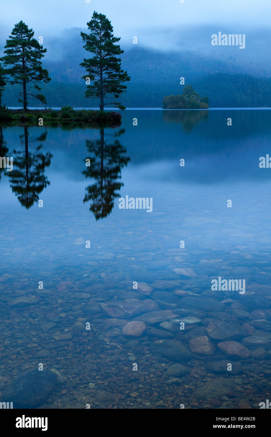 Early morning view across Loch an Eilein and Rothiemurchus Forest in ...