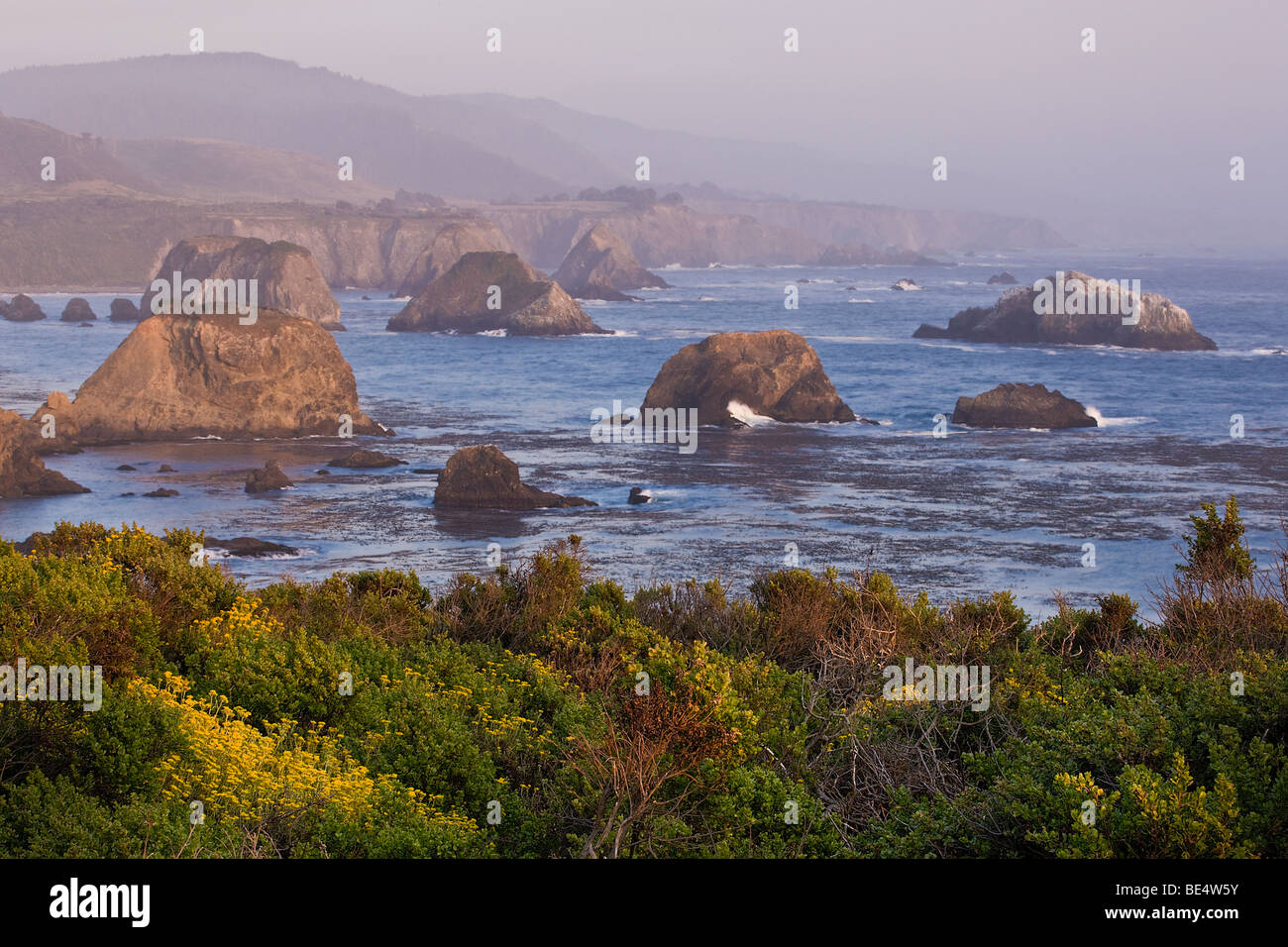 Mendocino coast hi-res stock photography and images - Alamy