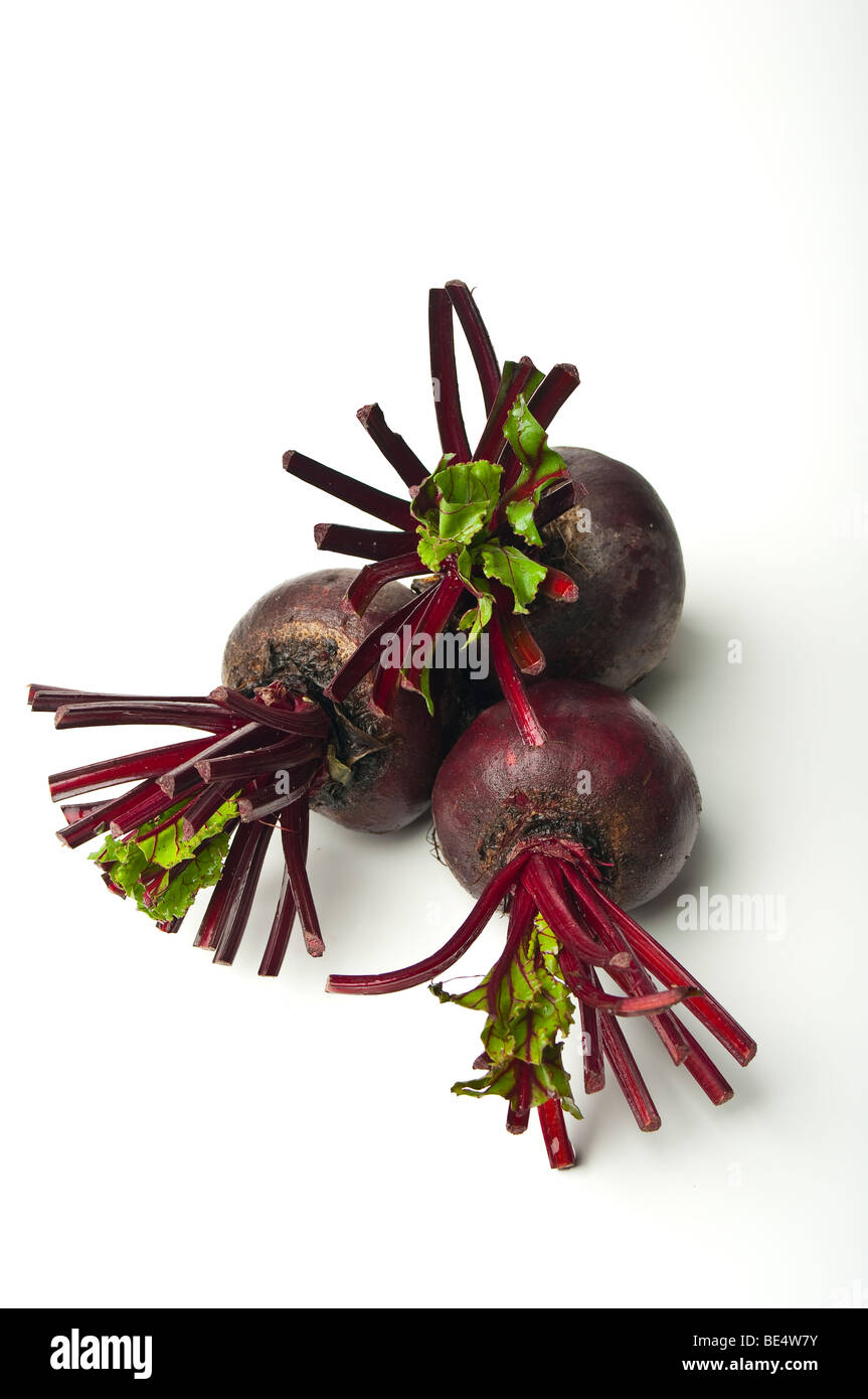 Fresh garden beetroot against a white background for cutout use Stock ...
