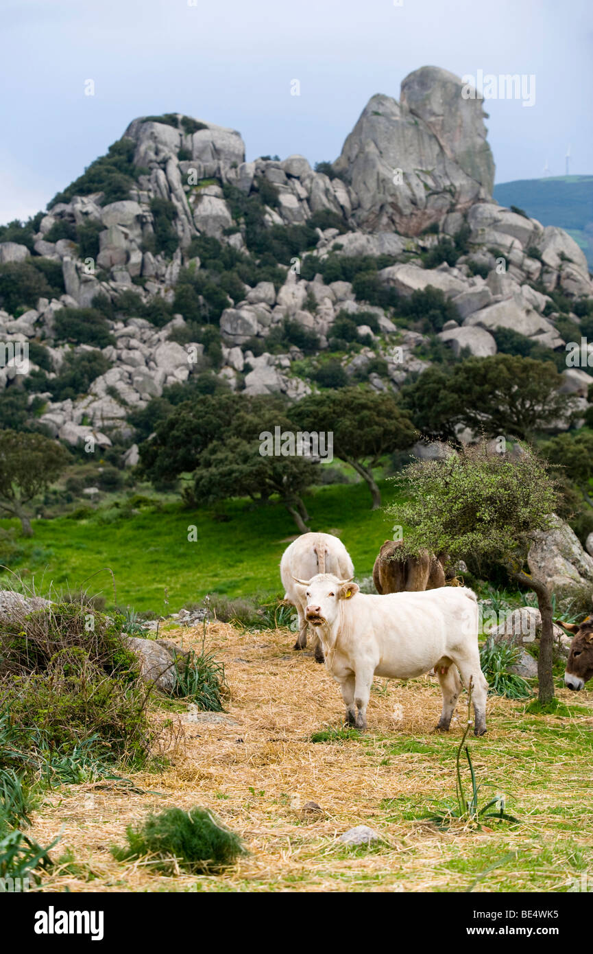 Aggius sardinia italy hi-res stock photography and images - Alamy