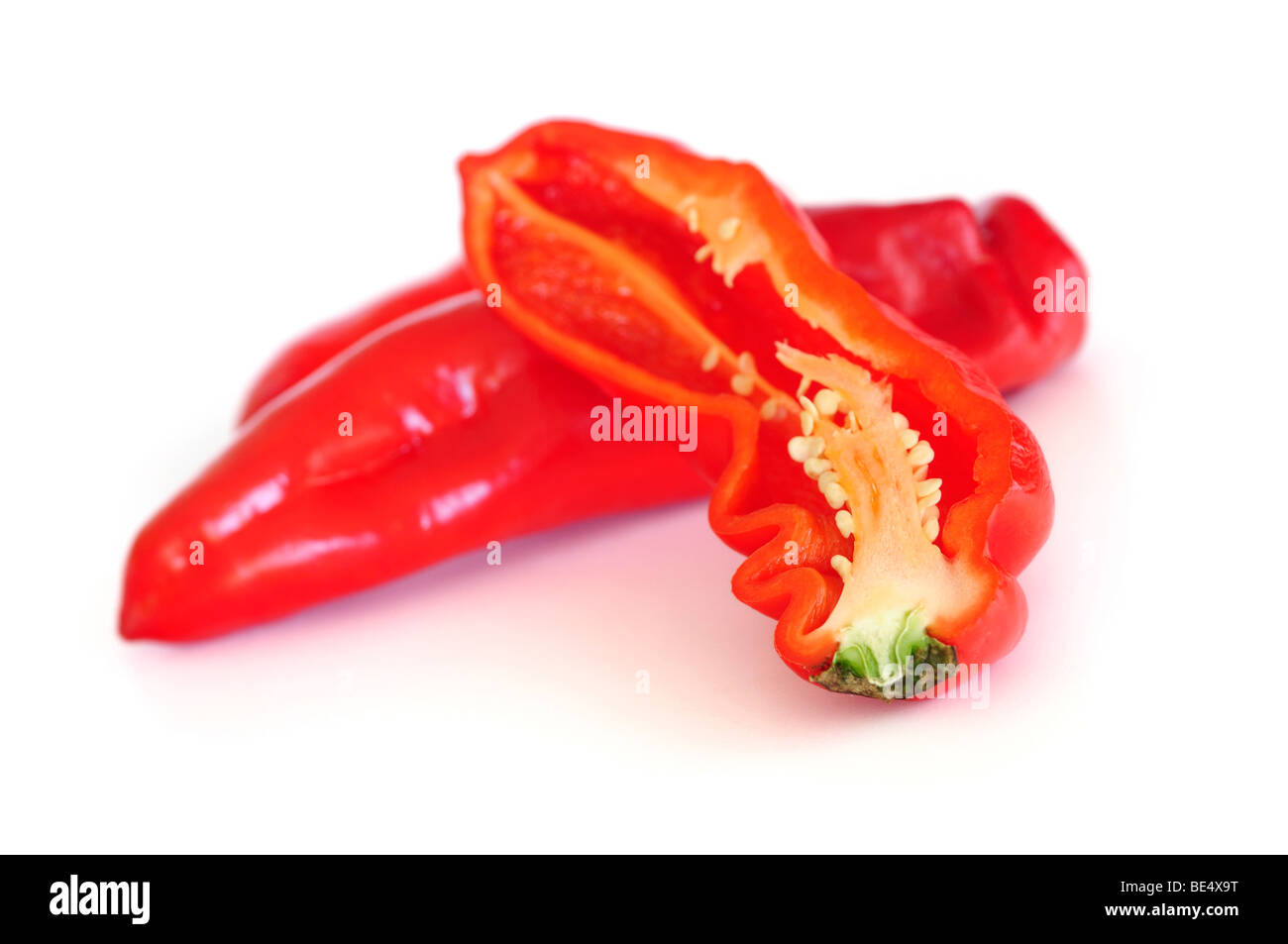 Red Capsicum (Capsicum annuum Stock Photo - Alamy