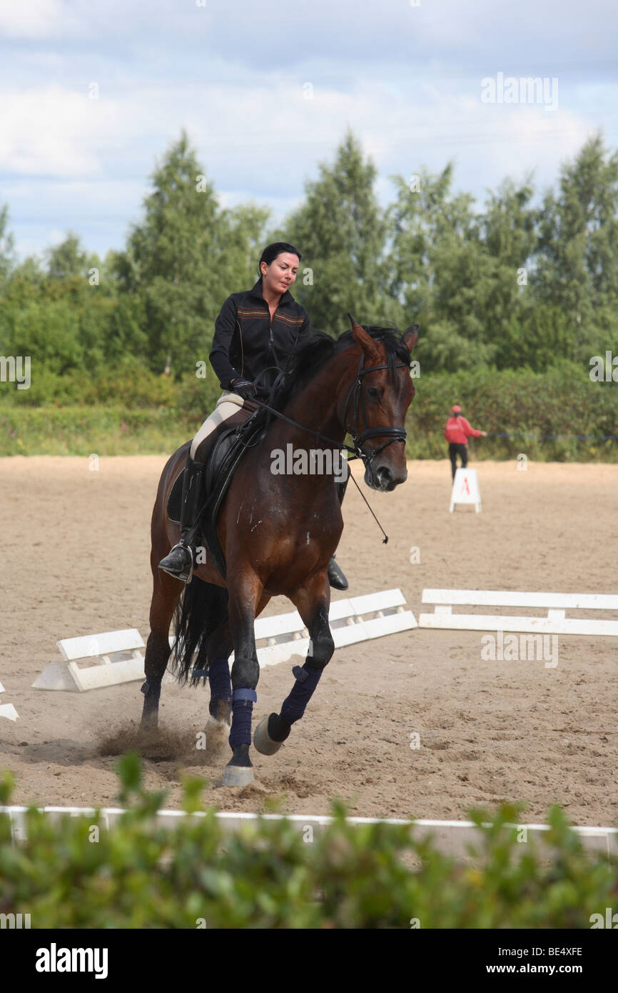 Rider back hi-res stock photography and images - Alamy