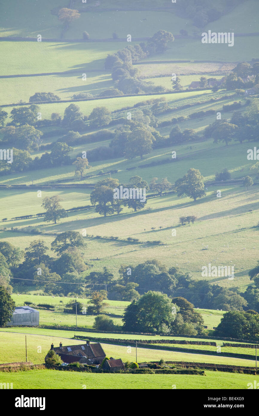 A late afternoon view of Farndale in the North York Moors National Park ...