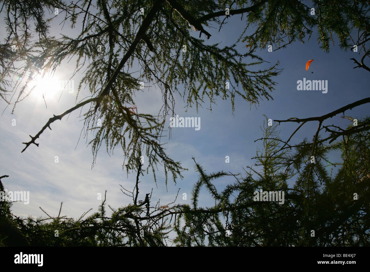 Parasailer hi-res stock photography and images - Alamy