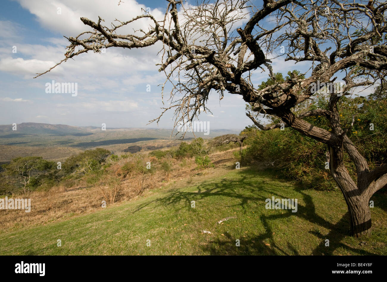 South Africa landscape Stock Photo - Alamy