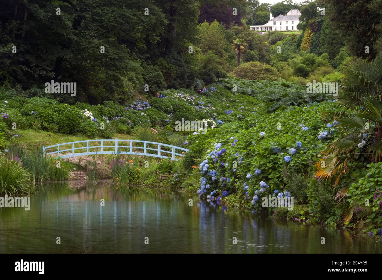 trebah garden and house; cornwall; summer Stock Photo - Alamy