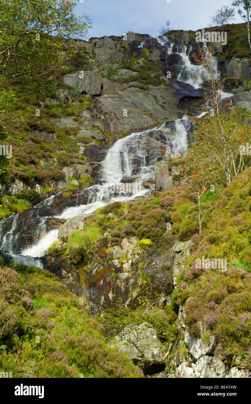 The Allt Bhuidhe waterfall, Glen Muick, flowering heather, and the red ...