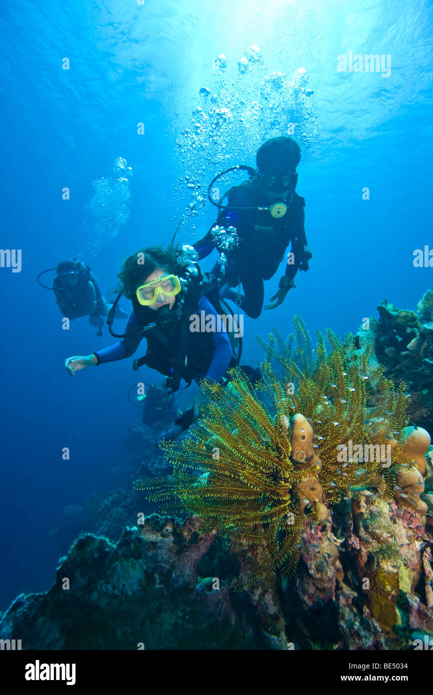 Girl and diving instructor, Philippines, Southeast Asia Stock Photo - Alamy