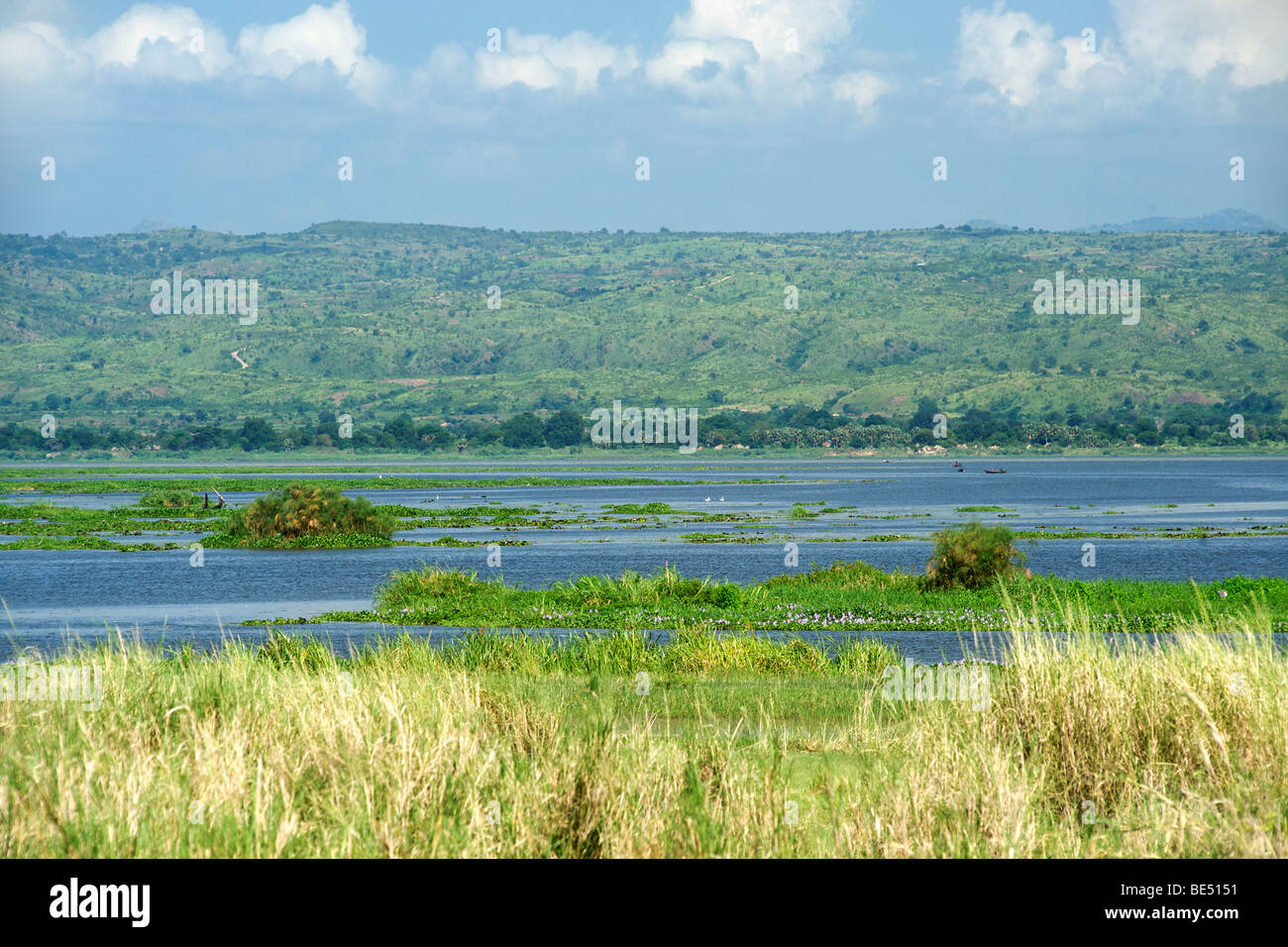 View of the Albert Nile River from the delta in Murchison Falls ...