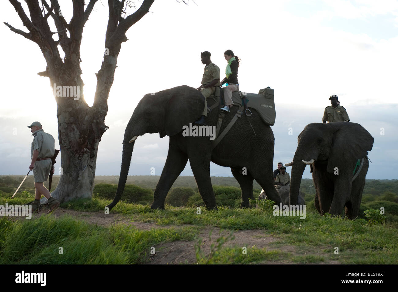 Elephant Back Safari, Kapama Game Reserve, Greater Kruger National Park ...