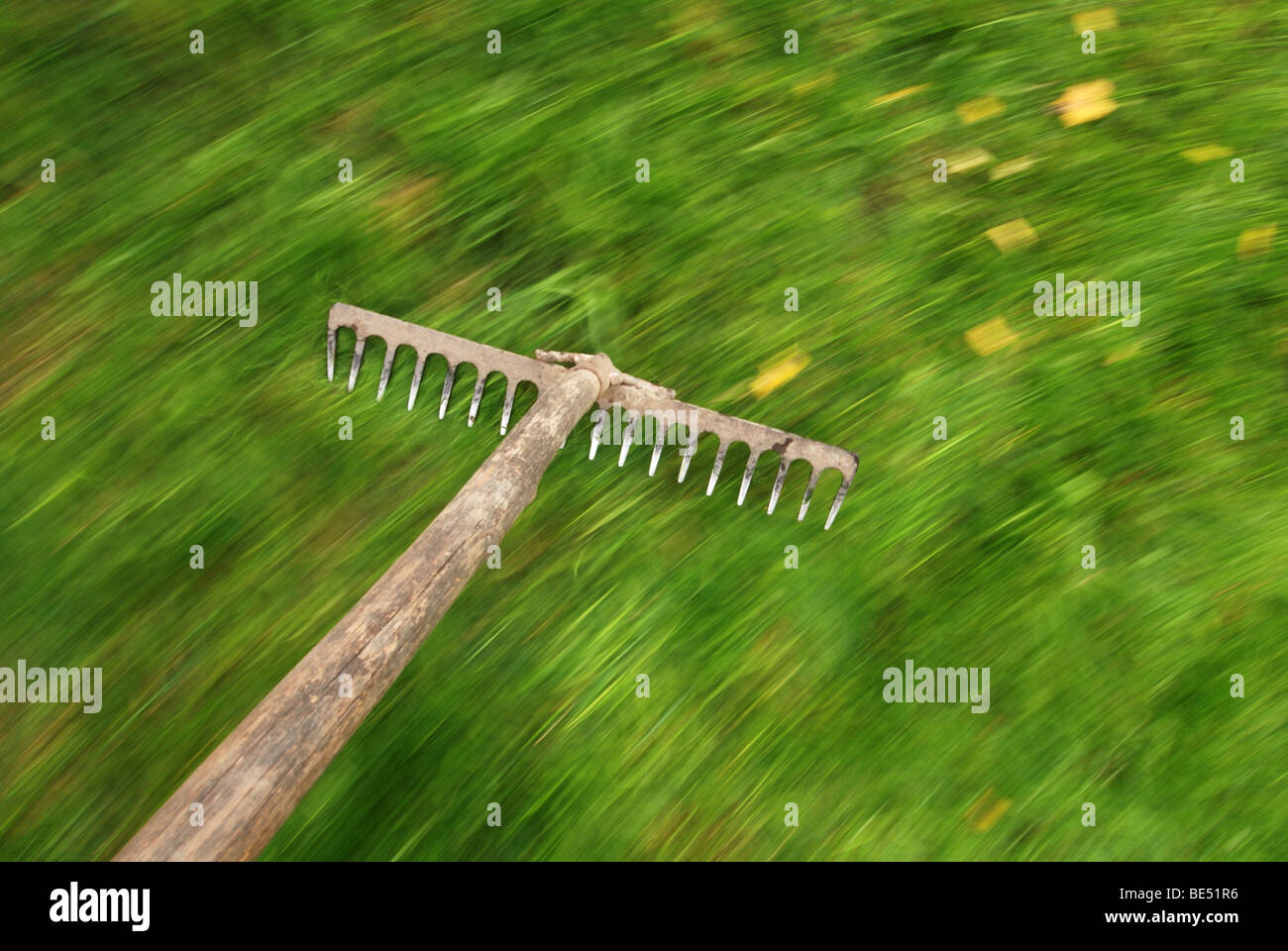 Raking fall leaves on hi-res stock photography and images - Alamy