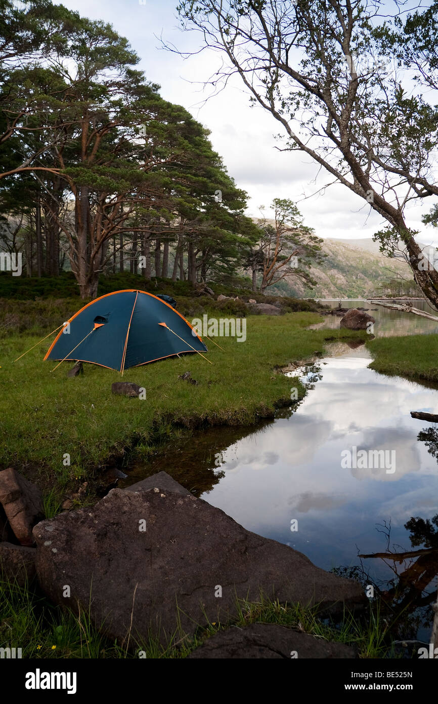 Tent pitched on an island on Loch Maree Stock Photo - Alamy