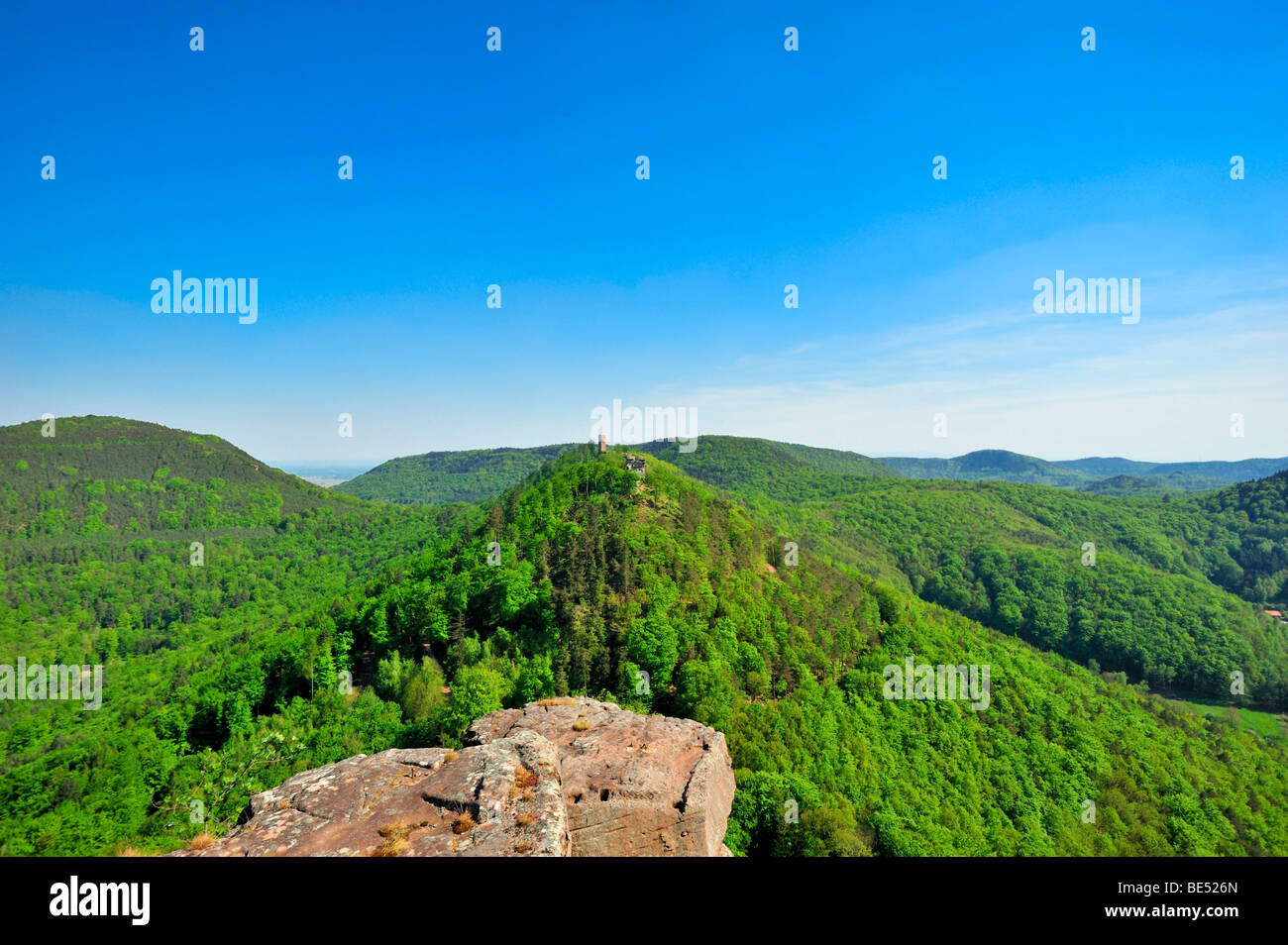 View from the Burg Trifelscastle to the Scharfenberg castle ruins ...
