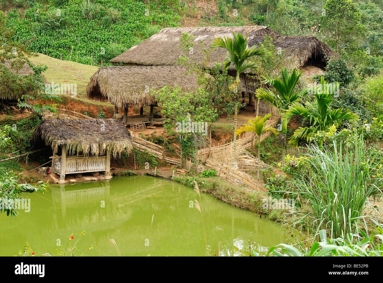 Traditional farmhouse of a mountain tribe, Ha Giang Province, Northern ...
