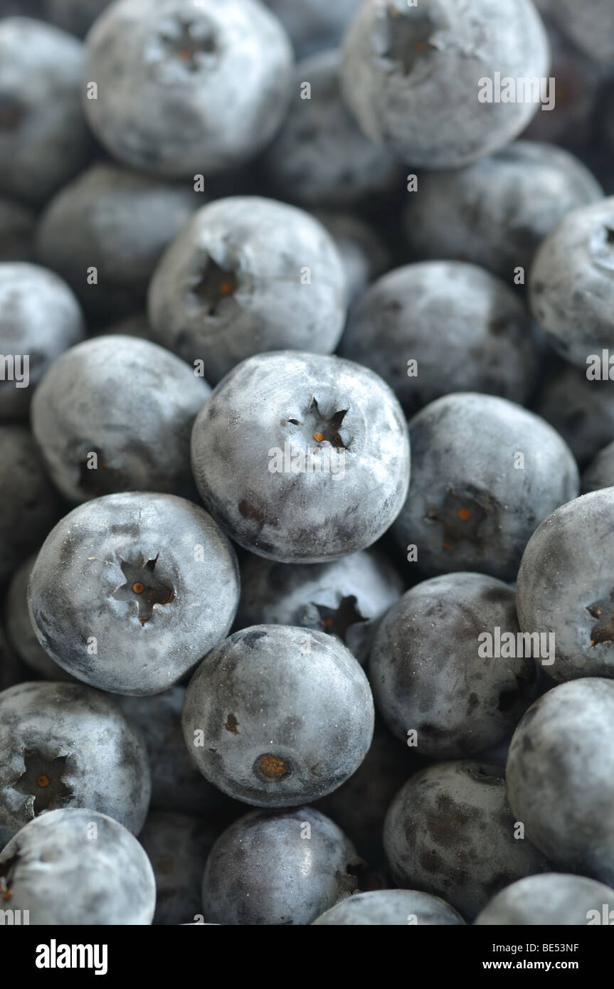 Closeup of a fresh natural blueberries Stock Photo - Alamy