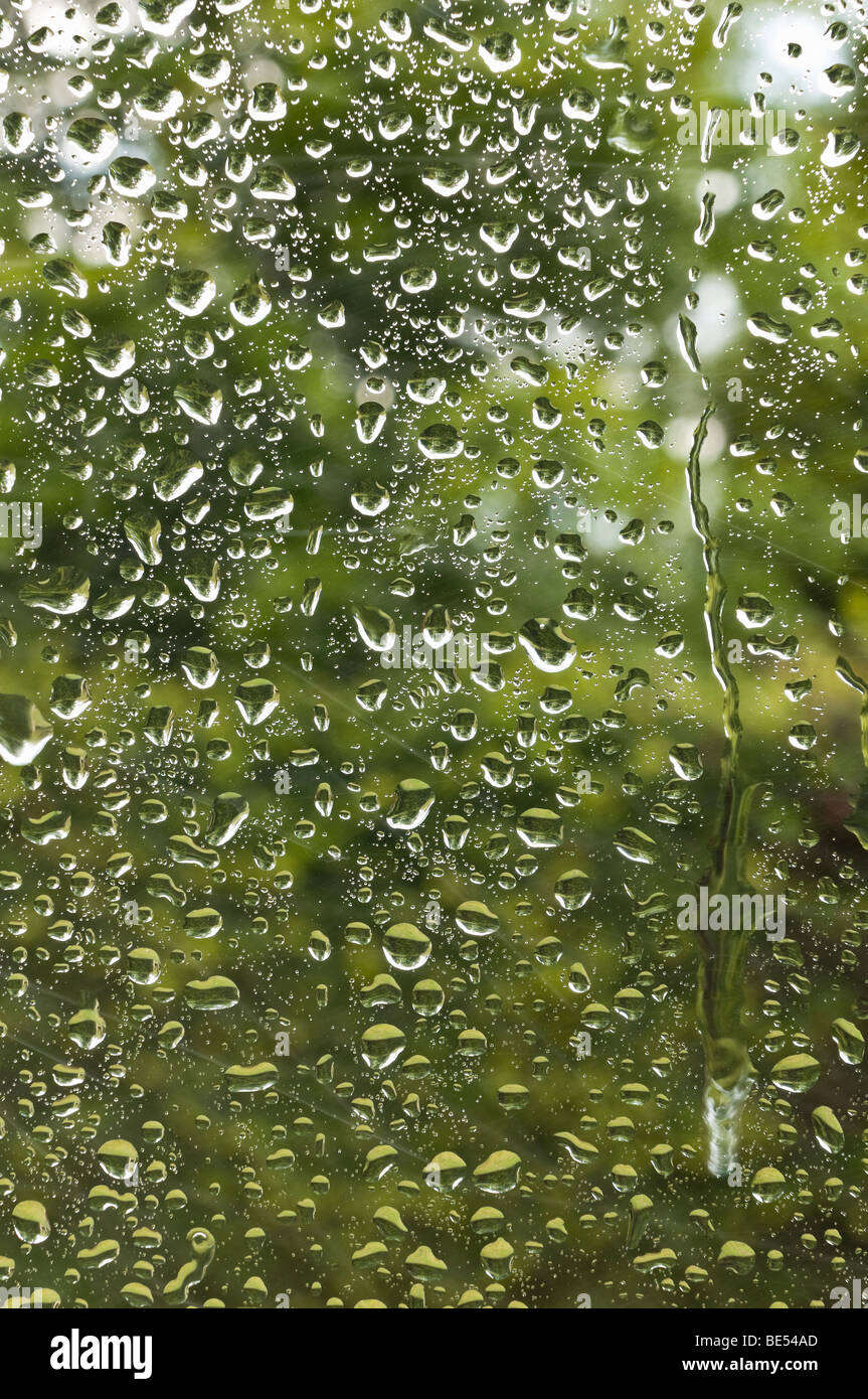 Rain on a window pane Stock Photo - Alamy