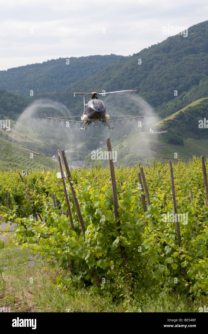 Spraying pesticide vineyard hi-res stock photography and images - Alamy