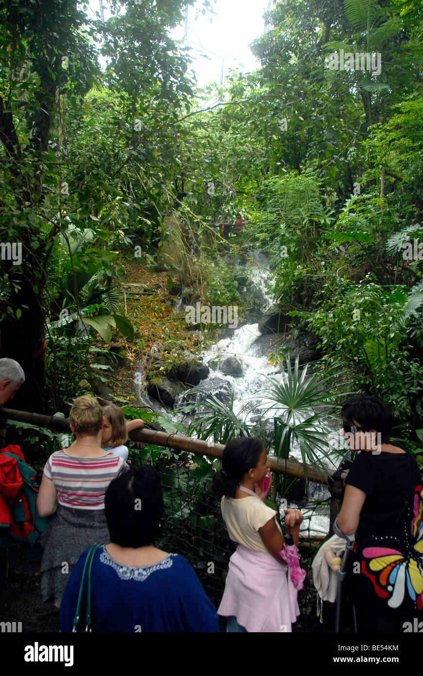 Visitors to the tropical rainforest biome at the Eden Project, Cornwall ...