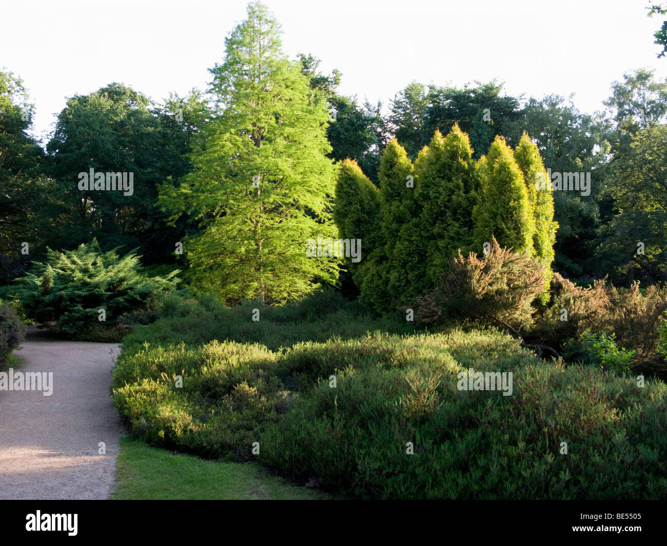 Isabella tree hi-res stock photography and images - Alamy